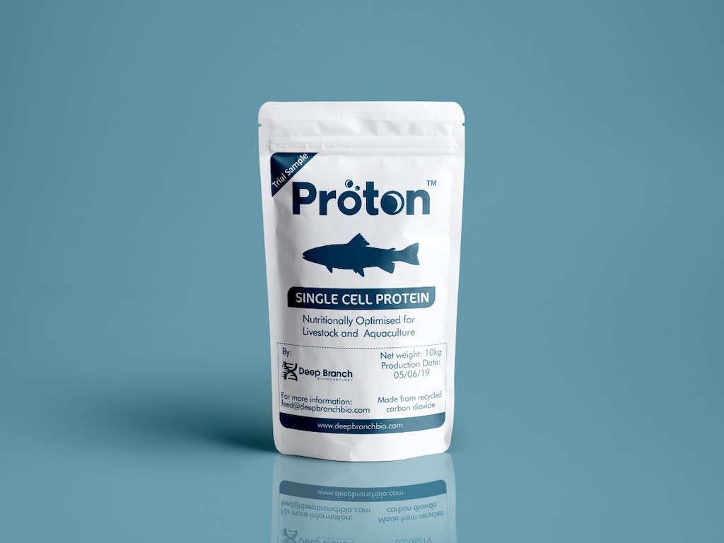 proton-deep-branch - Green Queen