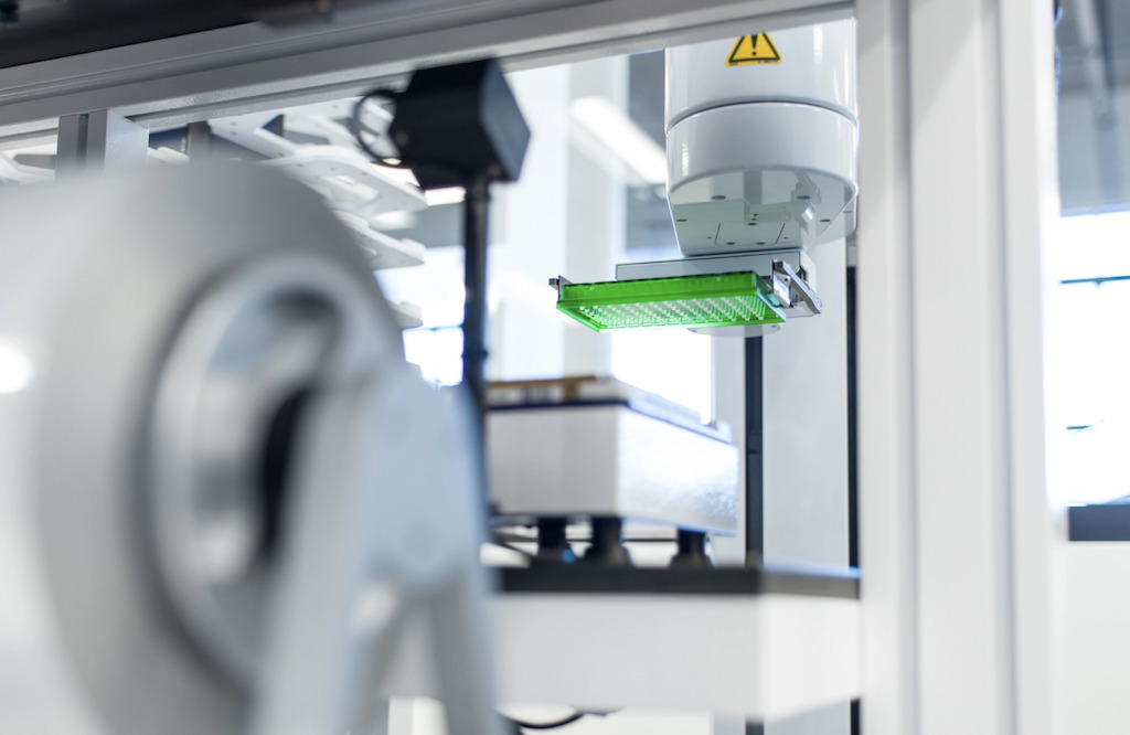 ginkgo-lab-1 - Green Queen