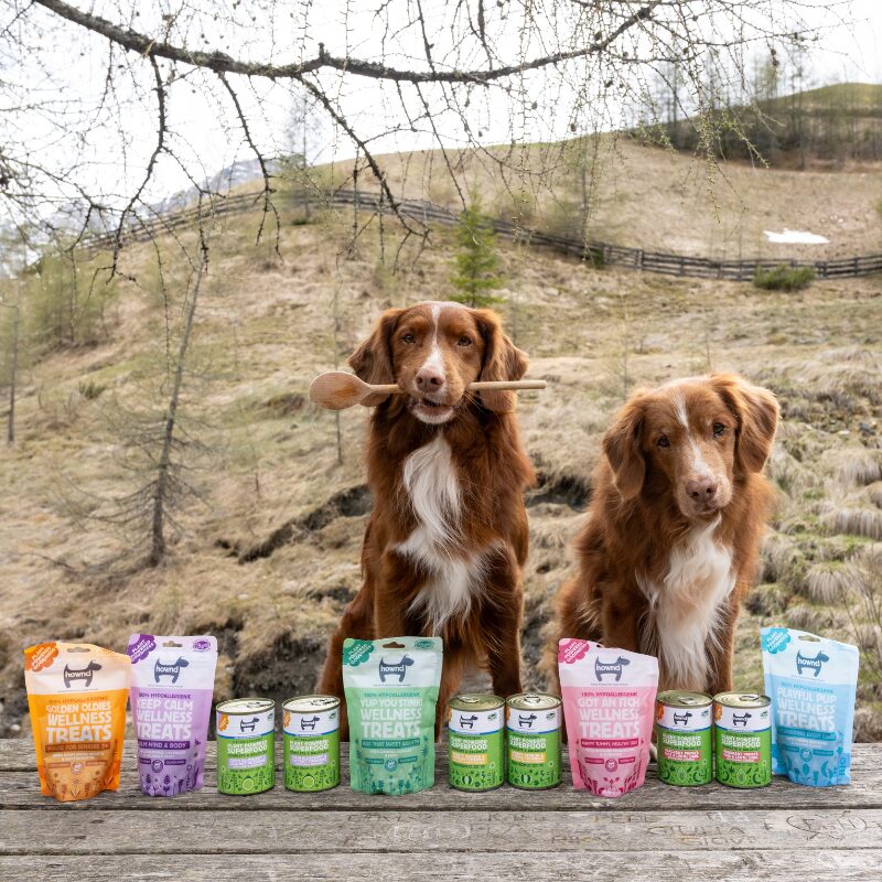 hownd-vegan-dog-food-pets-choice-acquisition-plant-based-pet-4 - Green ...