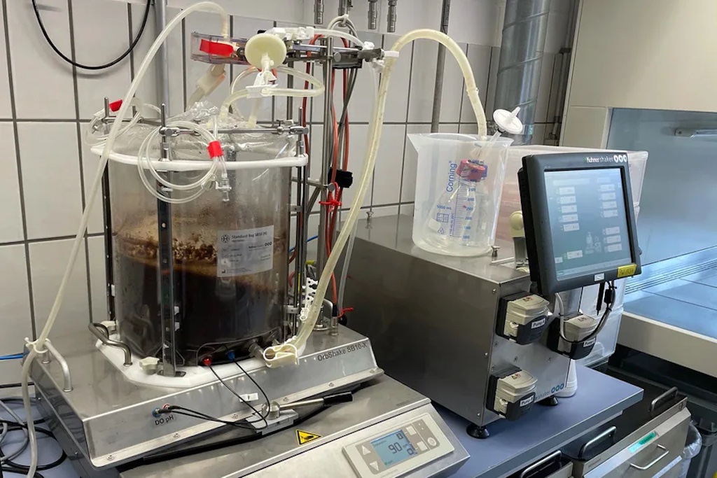 lab-grown-chocolate-bioreactor-ZHAW-swissinfo - Green Queen
