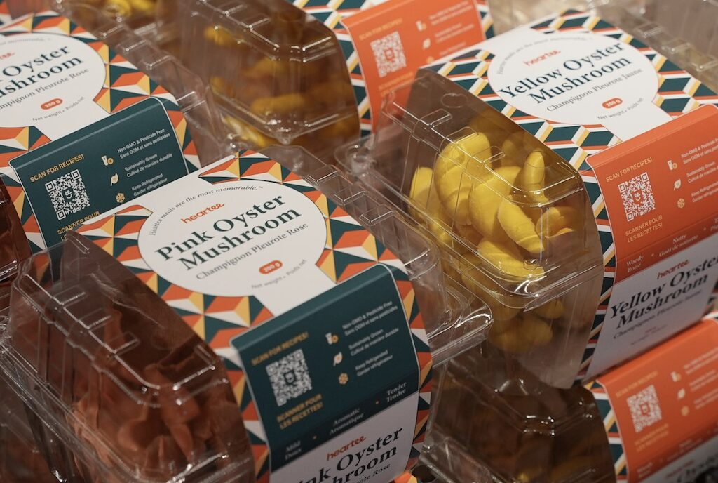 Adapt-AgTech - Green Queen