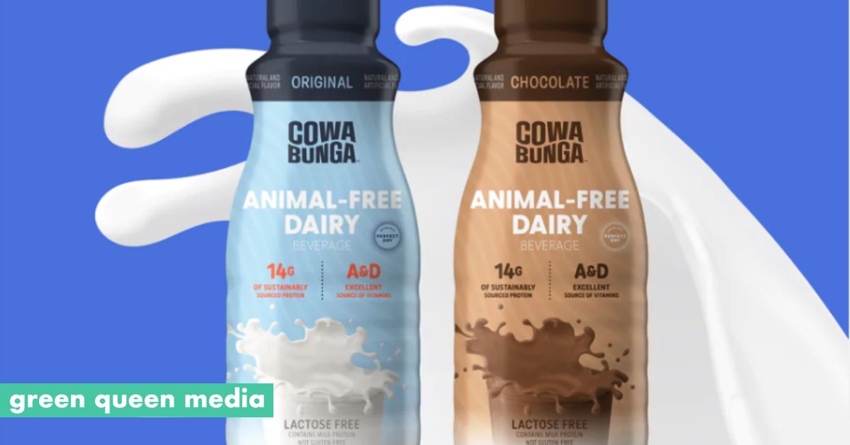 cowabunga-social-green-queen - Green Queen