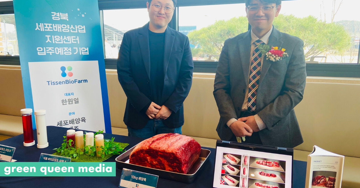 tissen-social - Green Queen