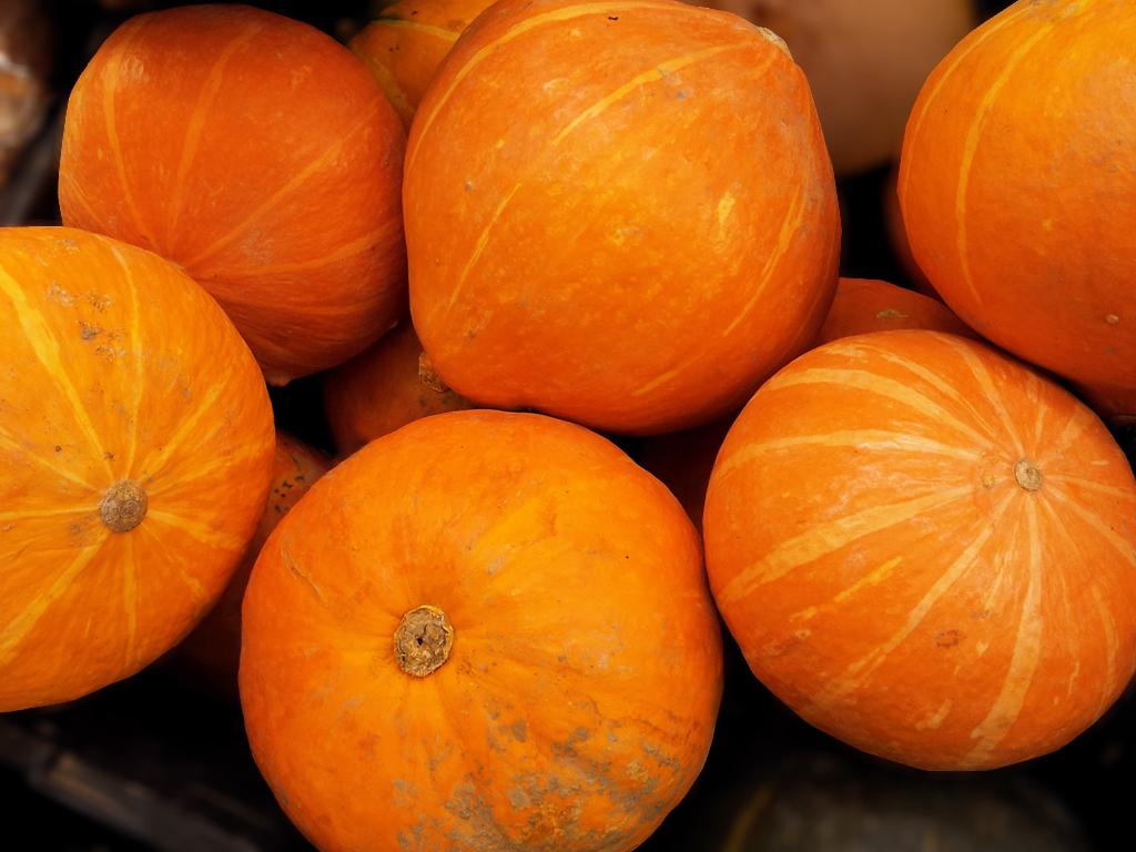 Chinese Pumpkin Adjusted - Green Queen