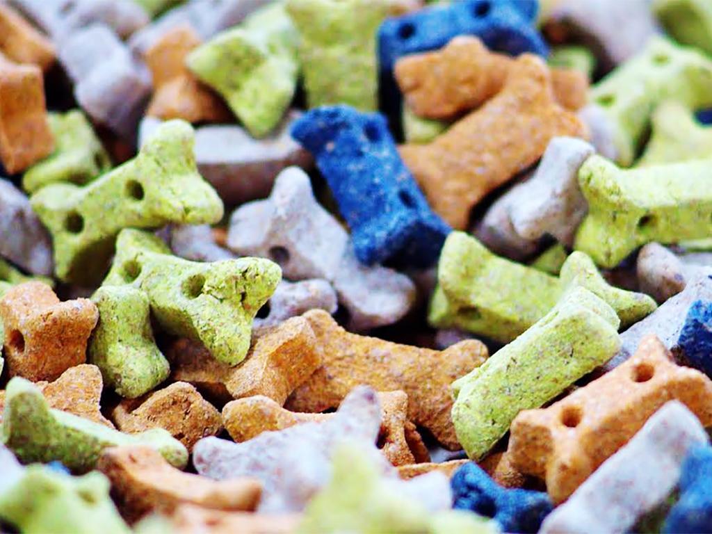 Hong Kong's Best Pet Shops - Our Picks Of The City's Most Eco-Friendly ...