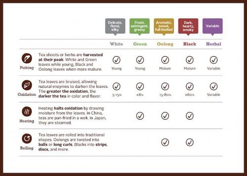 How To Drink Tea Like You Know What You Are Doing: The Addict’s Guide ...