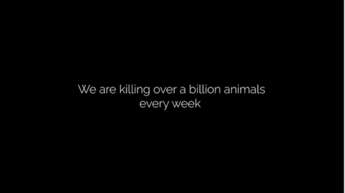 INTERVIEW: Rebecca Cappelli I Started 'Let Us Be Heroes' to Raise Awareness & Inspire People To ...