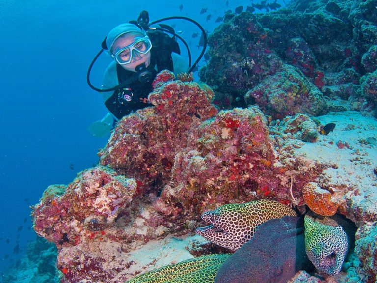 Asia's First Sustainable Scuba Diving Platform ZuBlu Promotes ...