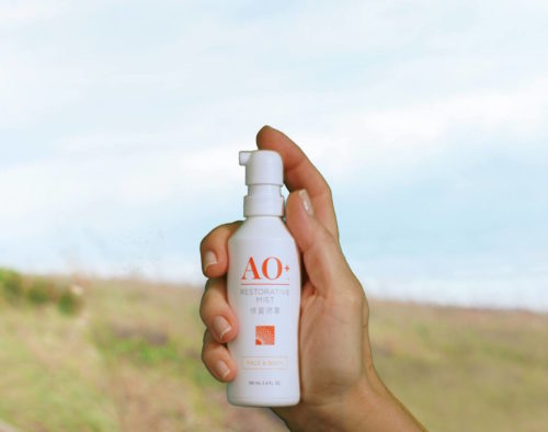 Hong Kong's 2019 Beauty & Wellness Expo Sees More Natural & Organic