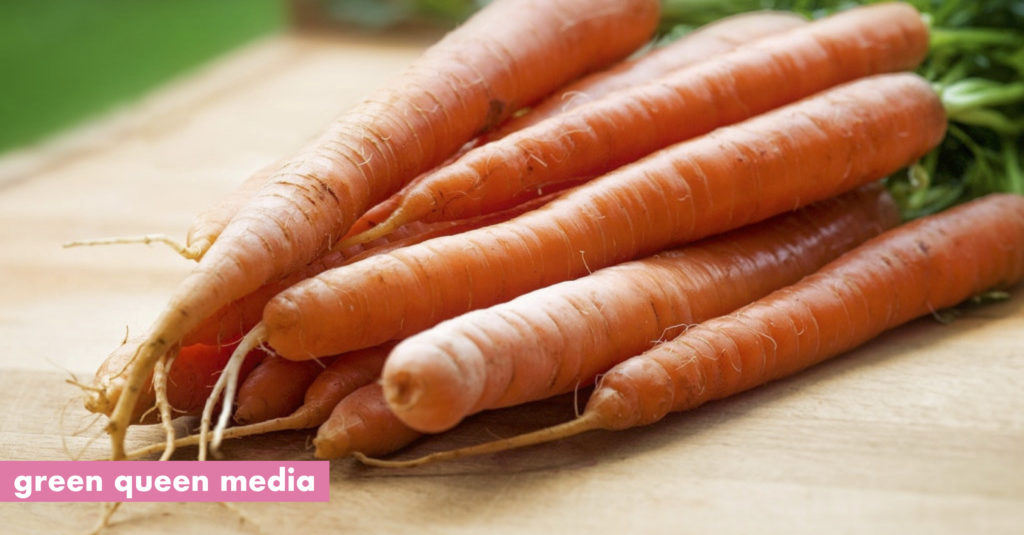 Concrete Made From Carrots: How Food Waste Is Can Help Make Buildings ...