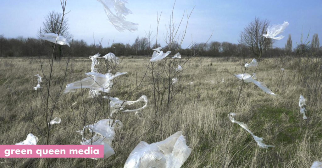 It’s Raining Plastic: Microplastics Are Falling From The Sky ...