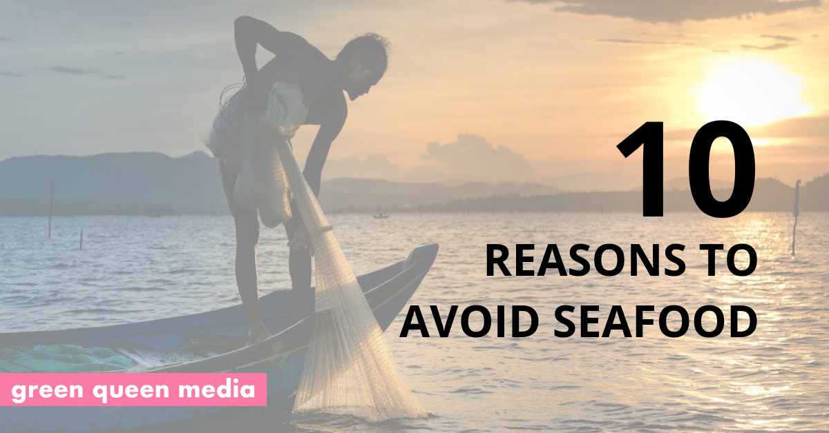 10 Reasons Eating Fish and Seafood Is Bad for Your Health and the Planet