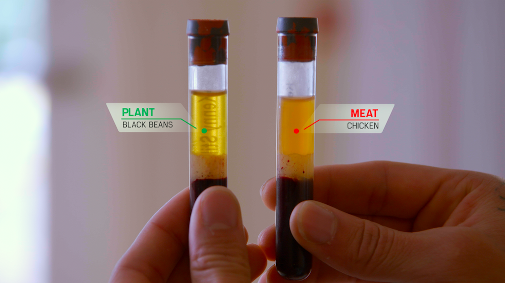 Plant-vs.-meat-blood-sample-The-Game-Changers - Green Queen