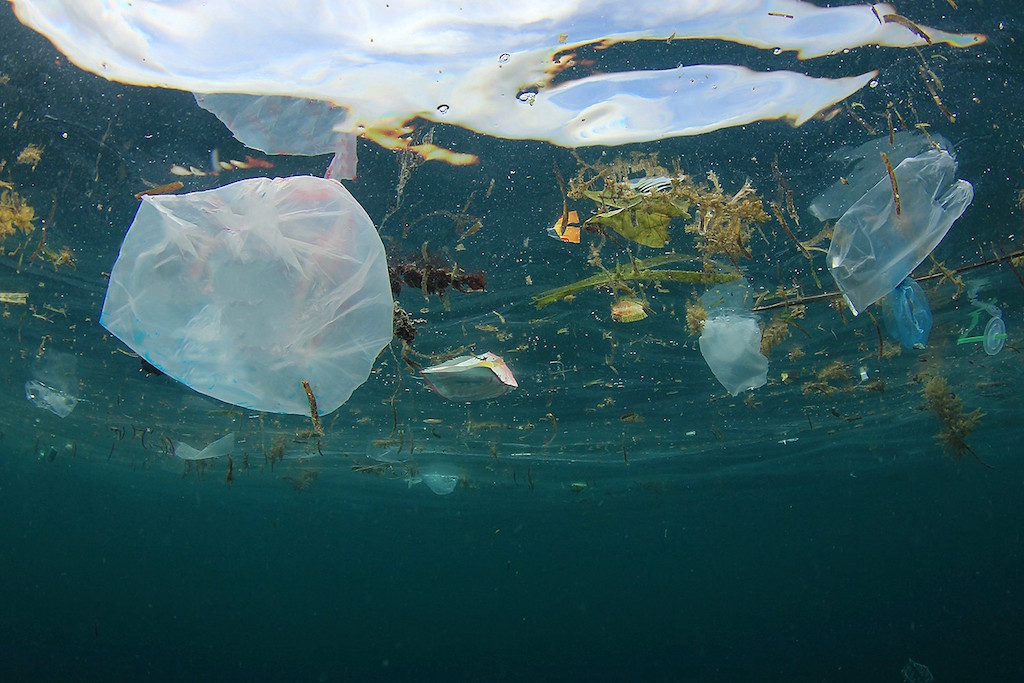 The Global Plastic Crisis In Numbers: 10 Shocking Facts You Need To Know