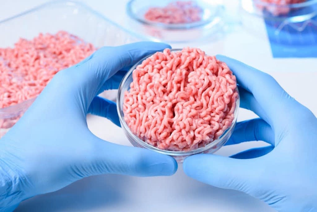 5 Inspiring Startups Looking To Change The World From Cell-Based Cotton ...