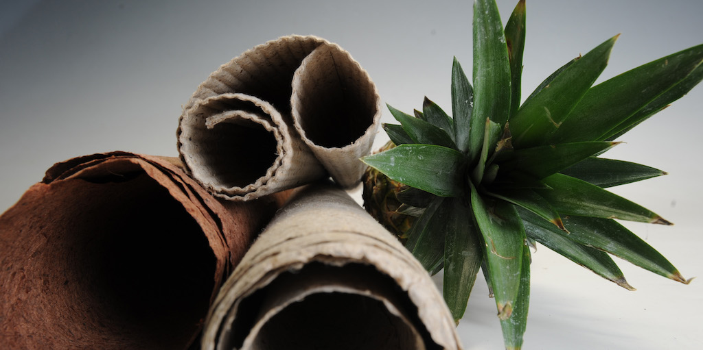 Pinyapel Is a New Filipino Treeless Paper Made From Discarded Pineapple ...