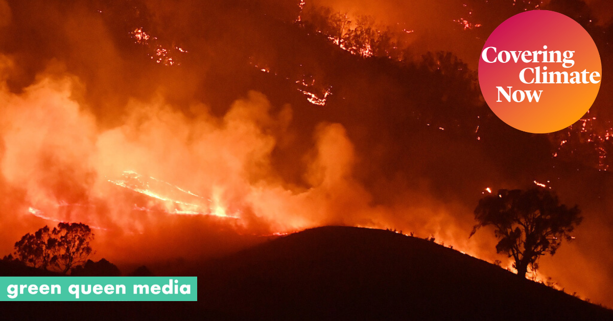 Australia’s Marine Animals Will Be The Fires’ Unseen Victims