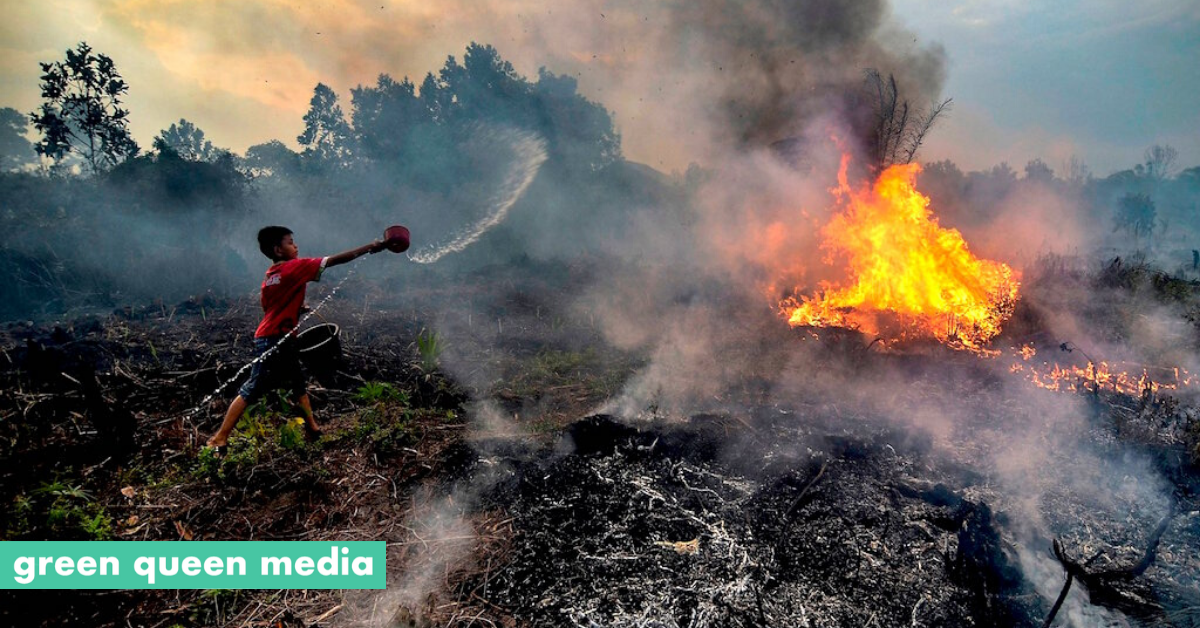 Indonesia Pushes Environmental Deregulation After Deadly Floods ...