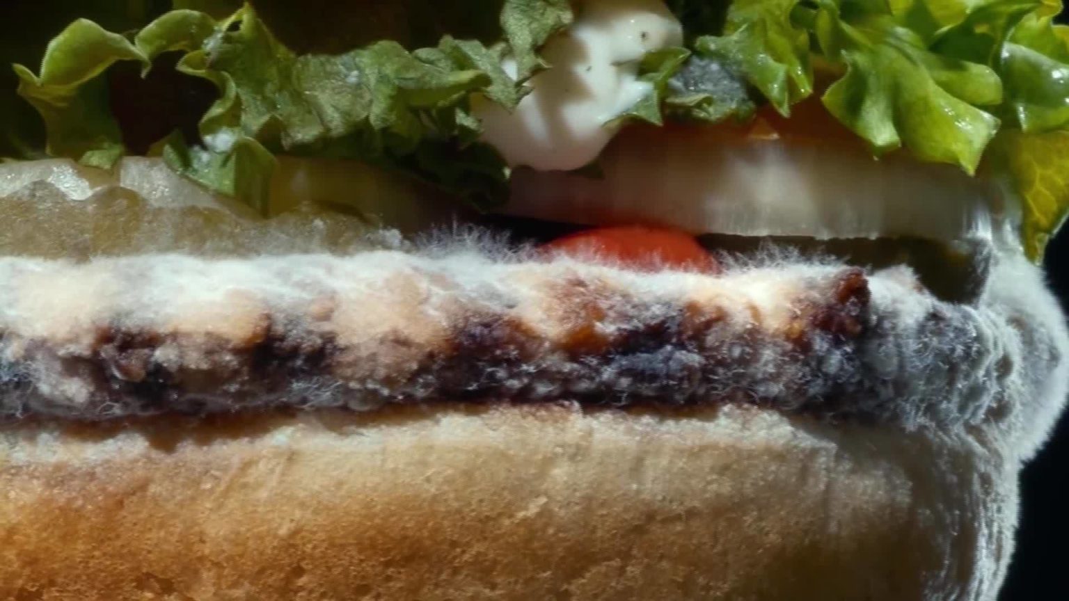 Burger King’s Mouldy Whopper Ad: Another Case Of Nutrition-Washing?