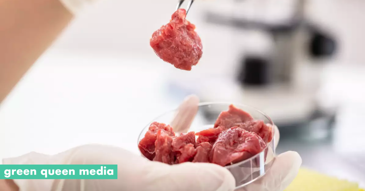 Scientists Awarded US$4 Million For Research Into Plant-Based ...