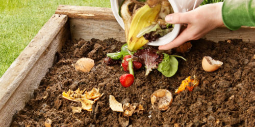 Food Footprint: Which Diet Creates The Least Amount Of Food Waste?