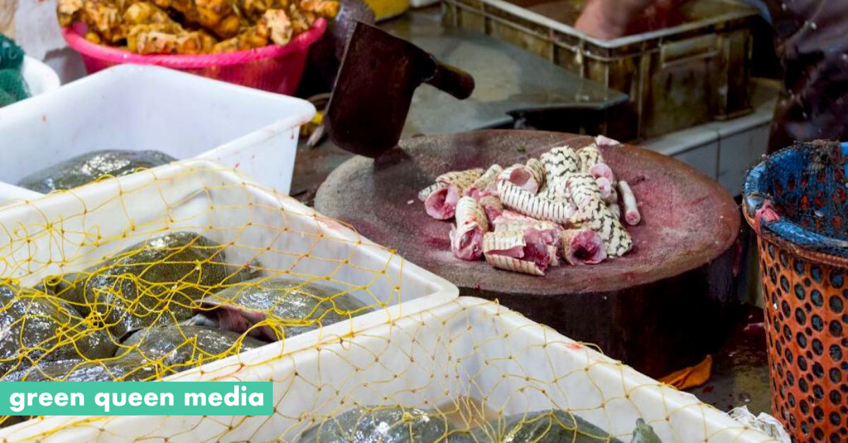 China Reopens Markets Selling Wild Animals As Coronavirus Wanes In The ...