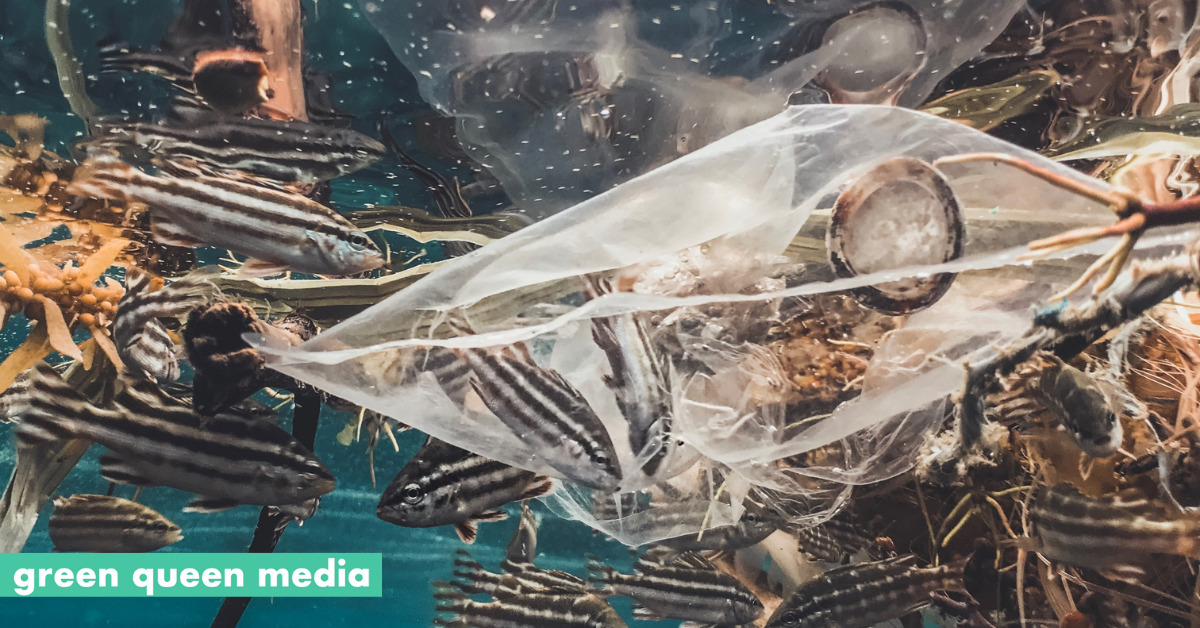 How Asian Grassroots Activists Are Tackling The War On Plastic Waste