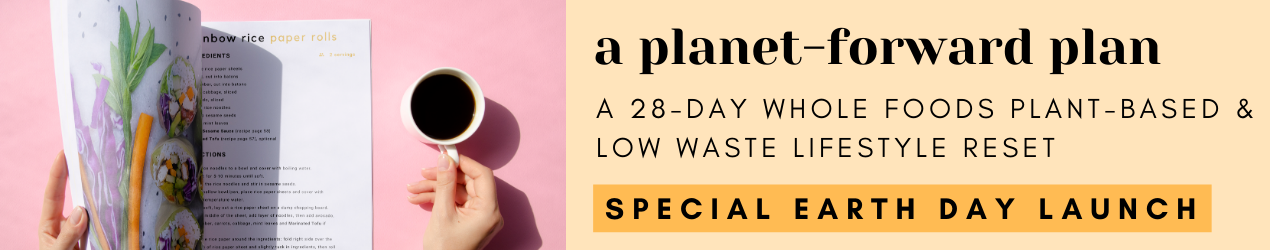 vegan + zero waste meal plan (2) - Green Queen