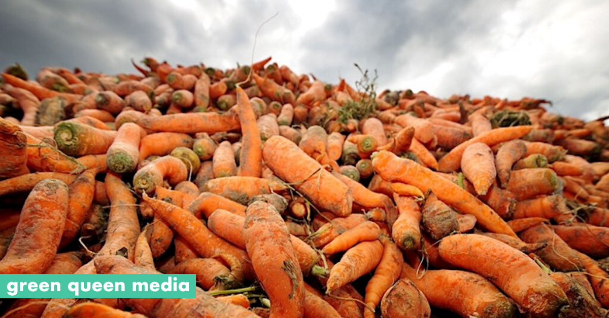 Why Our Global Food System Is Broken