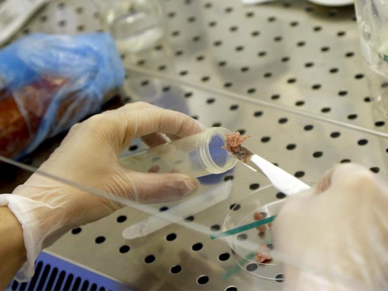 USDA & FDA To Start Rulemaking Process For Labelling Products Made From ...