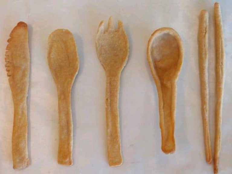 Hong Kong Students Win Sustainability Entrepreneurship Prize For Vegan ...