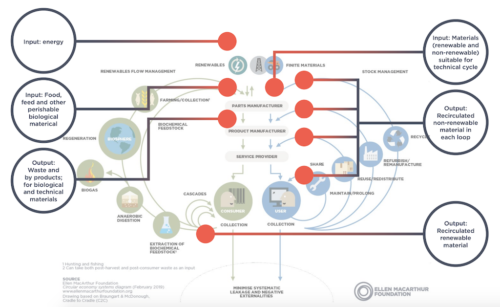 Circulytics: New Tool Helps Companies Measure & Track Circularity