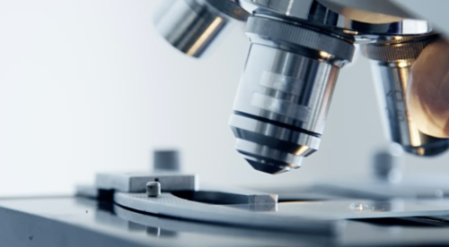 Singapore FoodTech Raises US$3.2M Seed To Scale Lab-Grown Breast Milk ...