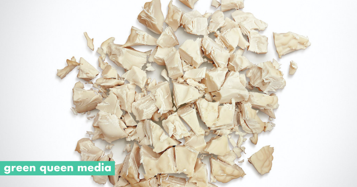 Bond Pet Foods Creates World’s First Animal-Free Chicken For Dogs & Cats