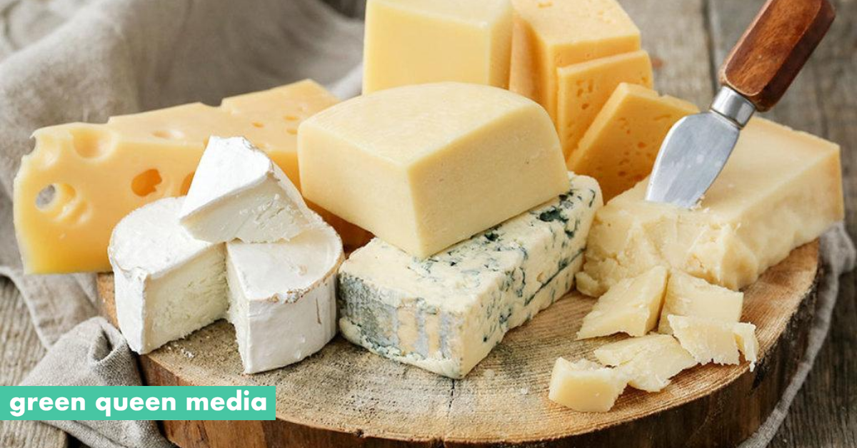 Google Data Scientist Startup Climax Foods Raises US$7.5M To Make ...