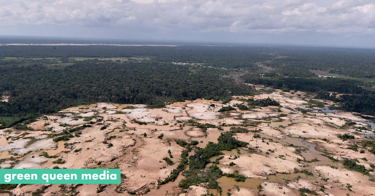 Fifth Of All Countries Worldwide Facing Ecosystem Collapse From Mass ...