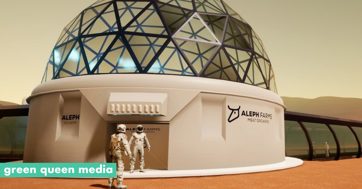 Cell-Based Meat Maker Aleph Farms Launches Space Program To Grow Steaks ...