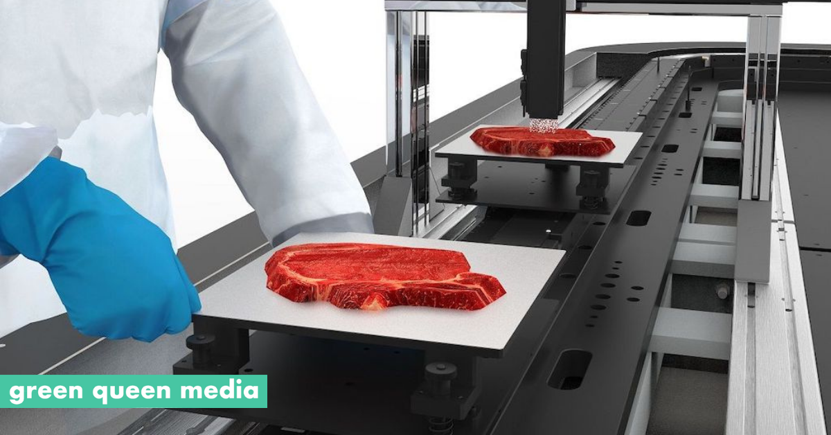 Meat-Tech Invests US$1.2M In Cultured Fat Startup Peace Of Meat Ahead ...