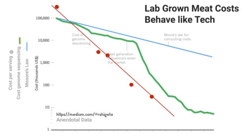 Alt Protein Expert & IndieBio CSO Says ‘Lab-Grown Meat Is Scaling Like ...