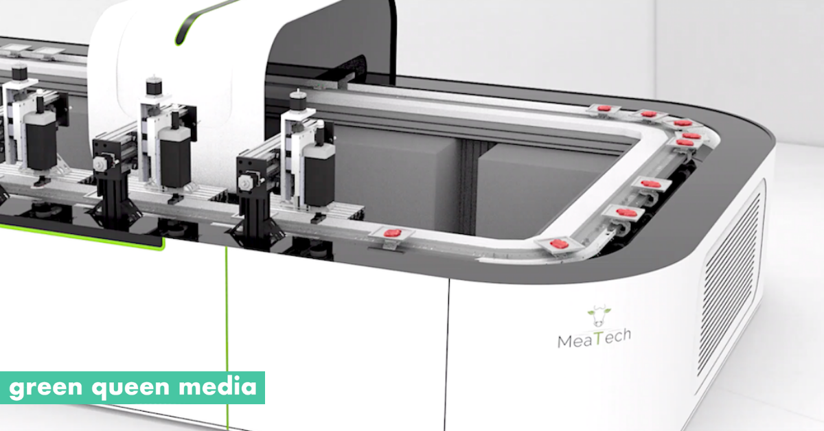 World's First Cell-Based IPO? Bioprinted Cultivated Meat Firm Meat-Tech ...