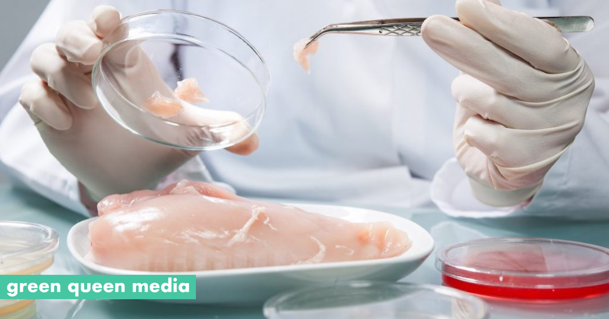 Indian Cell-Based Food Tech ClearMeat To Trial Cultivated Minced ...