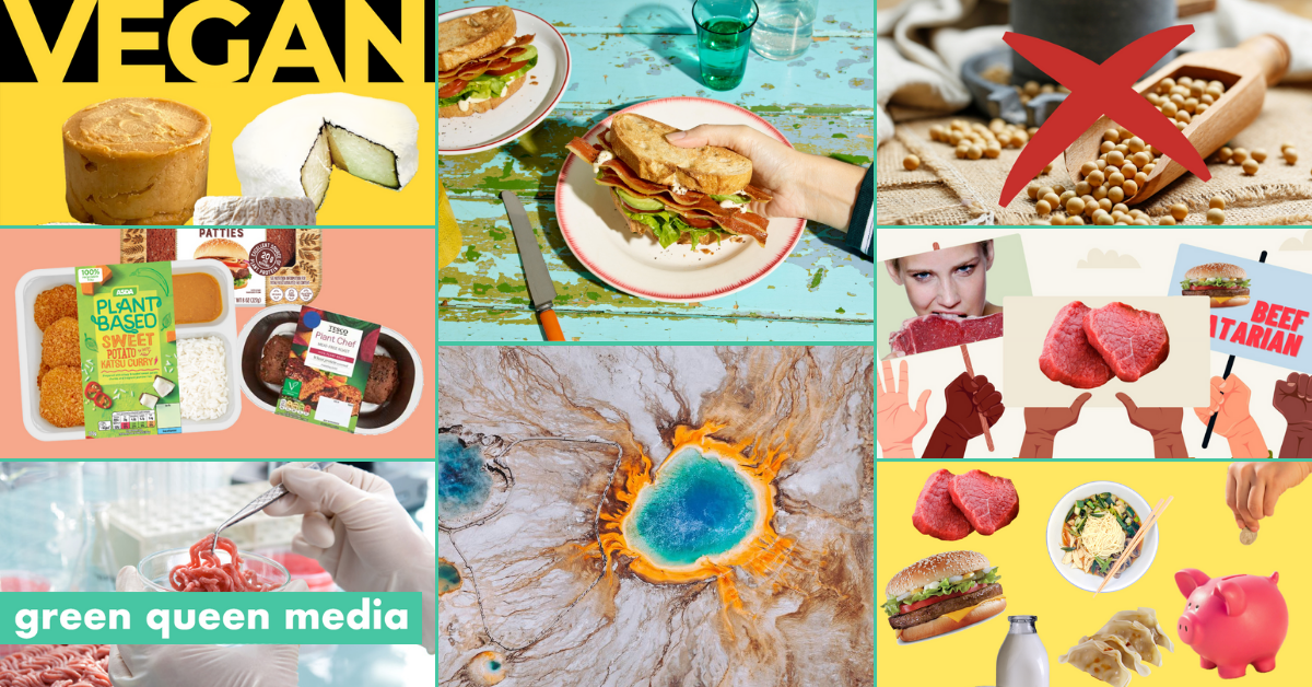 Top 13 Alt Protein Trends: Our 2021 Industry Predictions