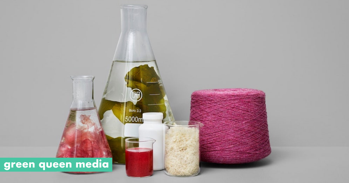 Plant-Based Textile Startup Algaeing Wins Global Female Founder Pitch ...