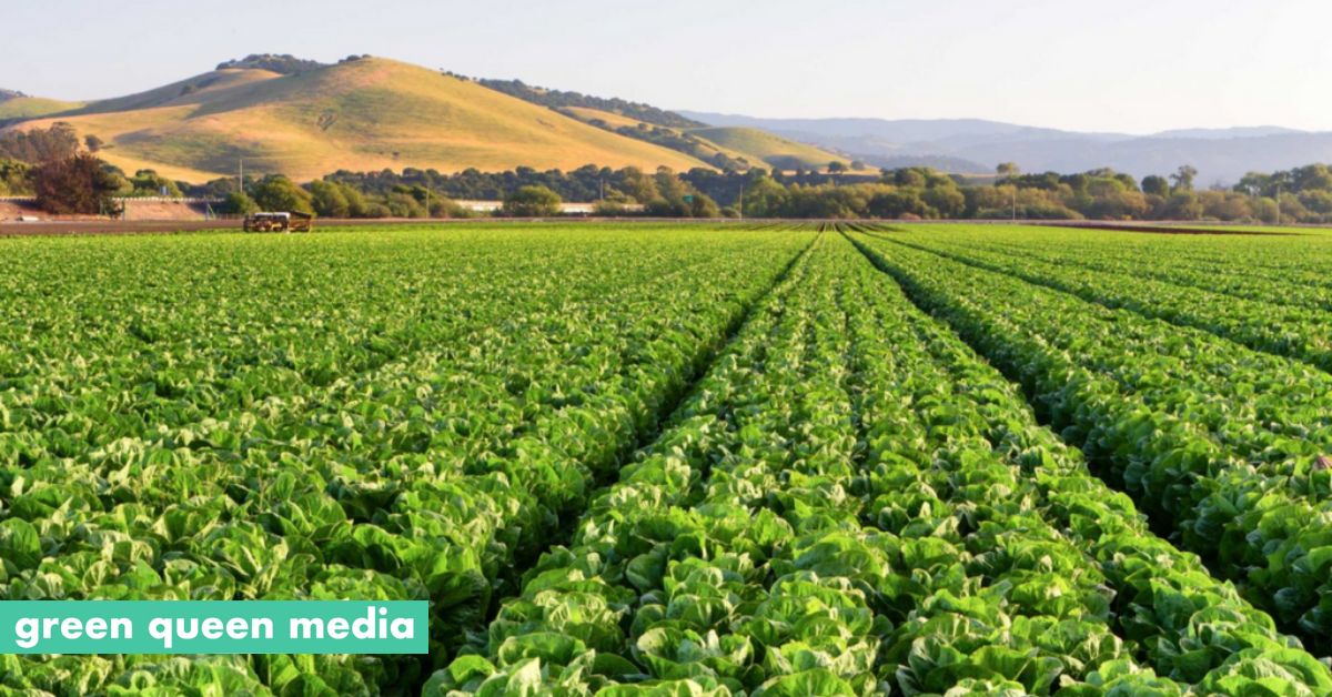 Veganic Farming May Be The Agricultural Philosophy The World Needs