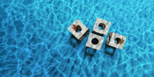 Can These 6 Marine Tech Startups Help Solve The Many Issues Facing Our ...