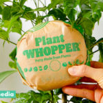 Burger-King-South-Korea-Launches-Plant-Based-Whopper-With-V2food ...