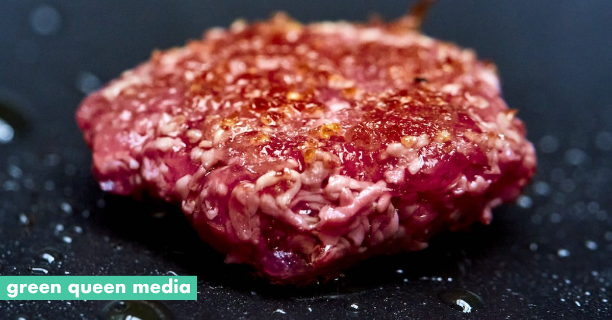 Shiok Meats Partners With Mirai Foods to Bring Cultivated Beef to Singapore