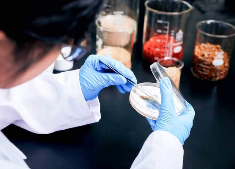 Mycotech: The Indonesian Startup Making Mushroom Leather Inspired By Tempeh