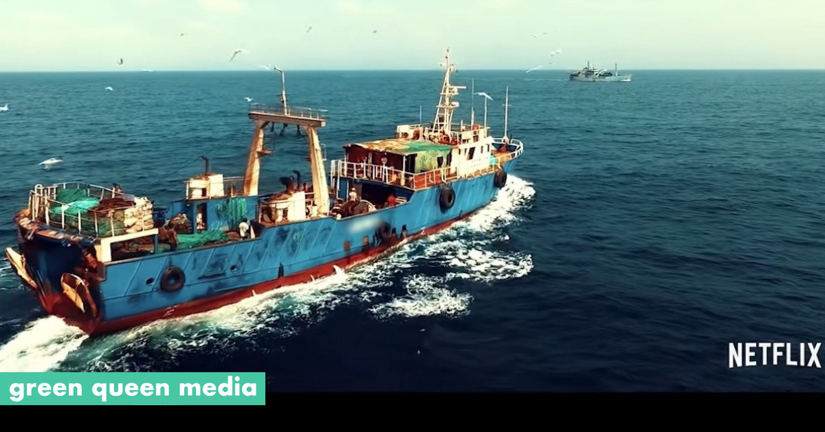 Netflix Seaspiracy Review: If You Can Still Eat Fish After Watching ...