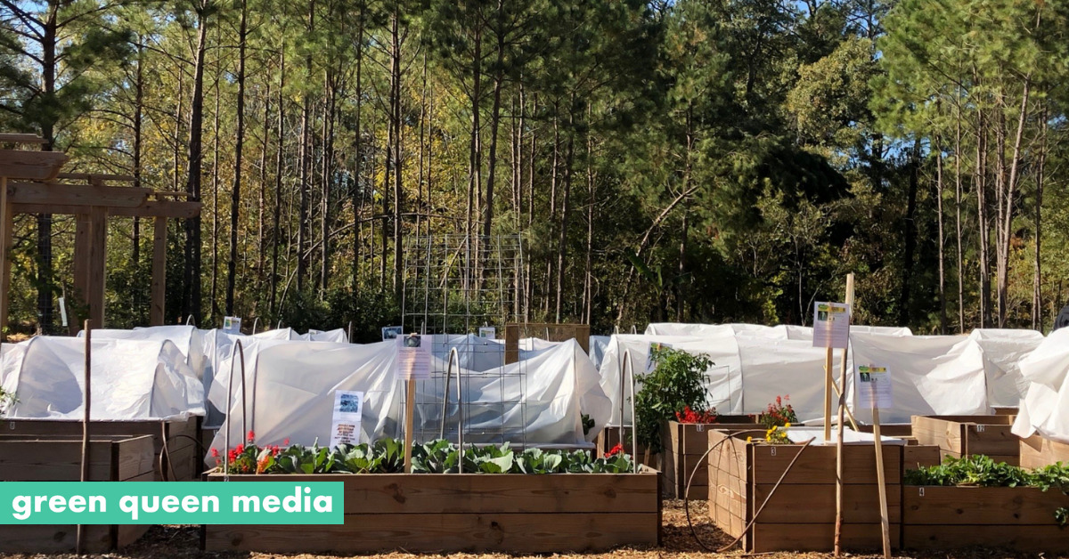 This Food Forest In Atlanta Provides Free Fruits and Vegetables To ...